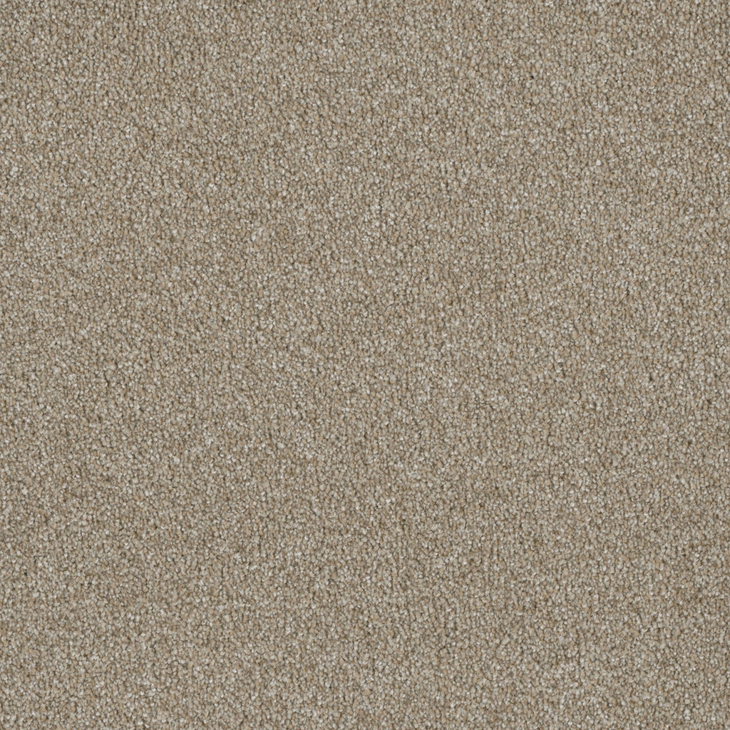 Dwellings PROFOUND I – Dearborn Carpet