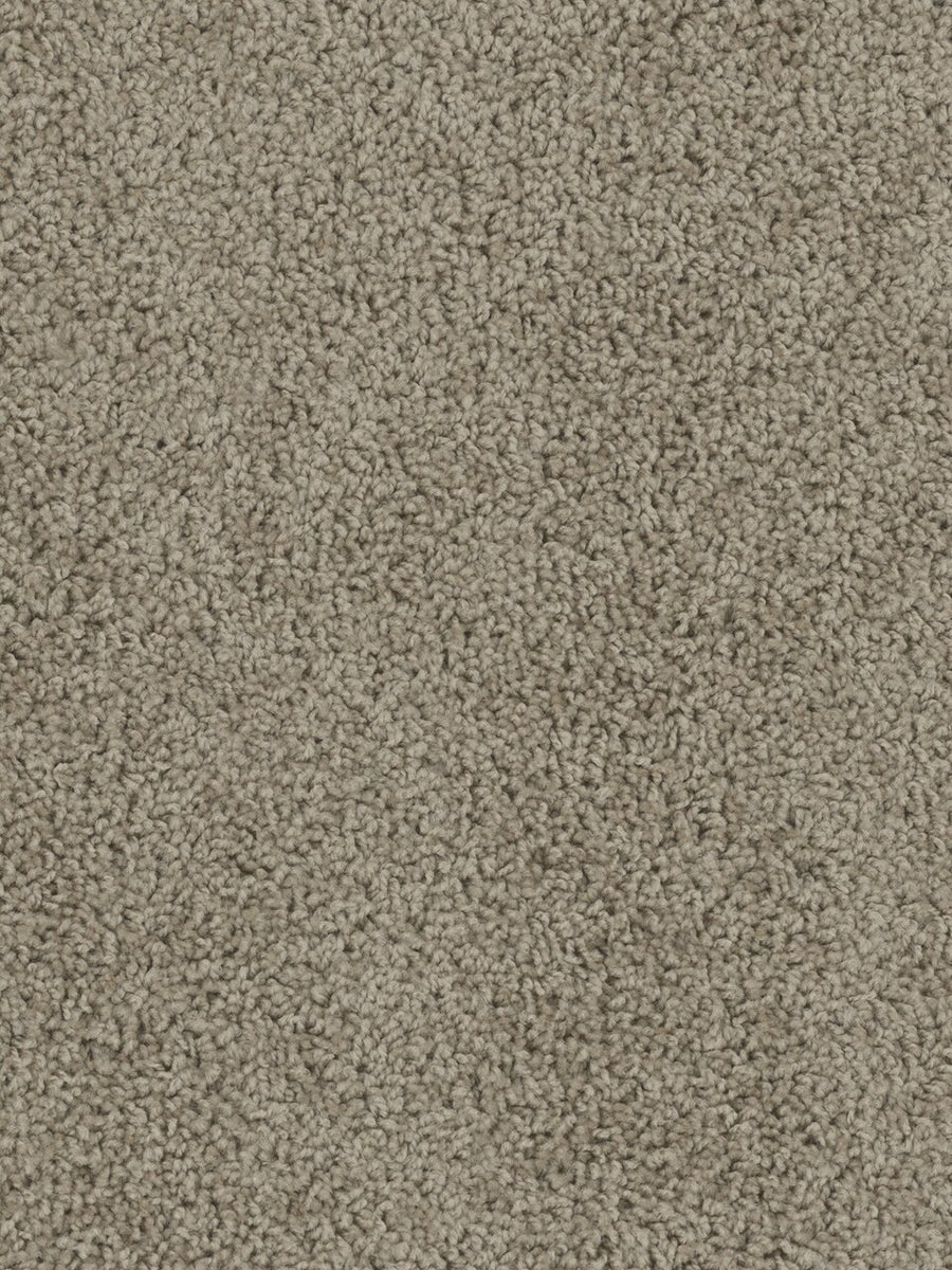 Dwellings ALPINE – Dearborn Carpet