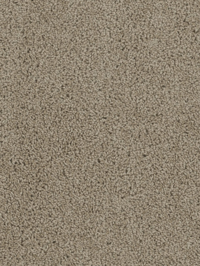 EF Multifamily MARVEL – Dearborn Carpet