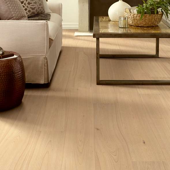 SHAW: PRODIGY HDR PLUS – Dearborn Carpet